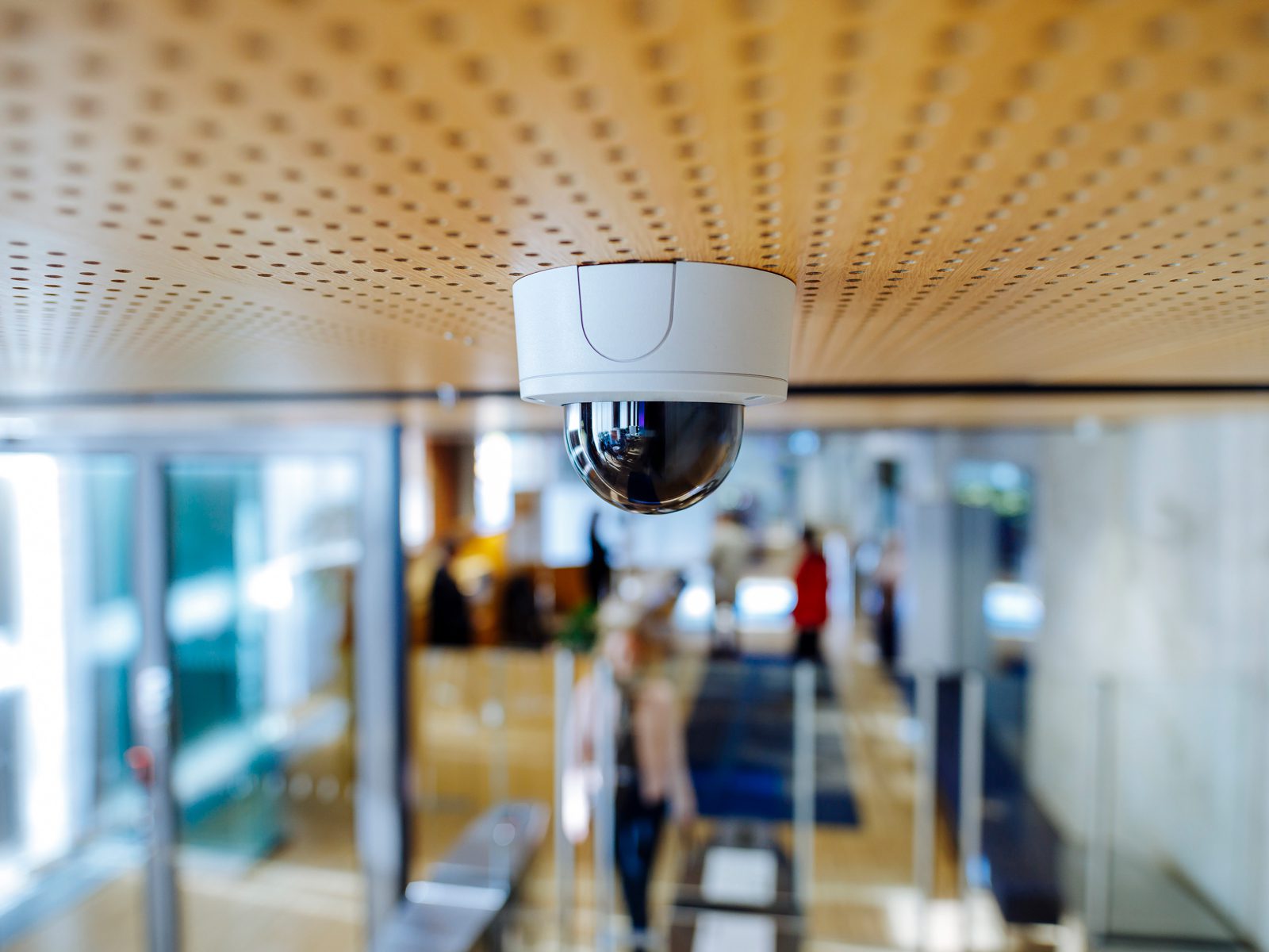 Digital facility services - Senate Properties